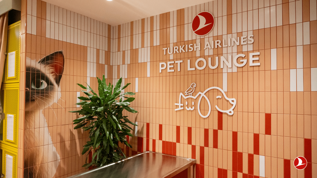 Turkish Airlines Introduces Exclusive Pet Lounge at Istanbul Airport ...