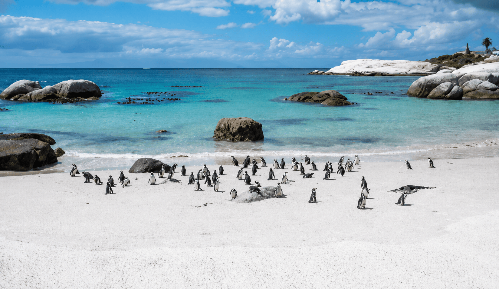 Four SA Beaches Make Global Beach 100 List for 2026